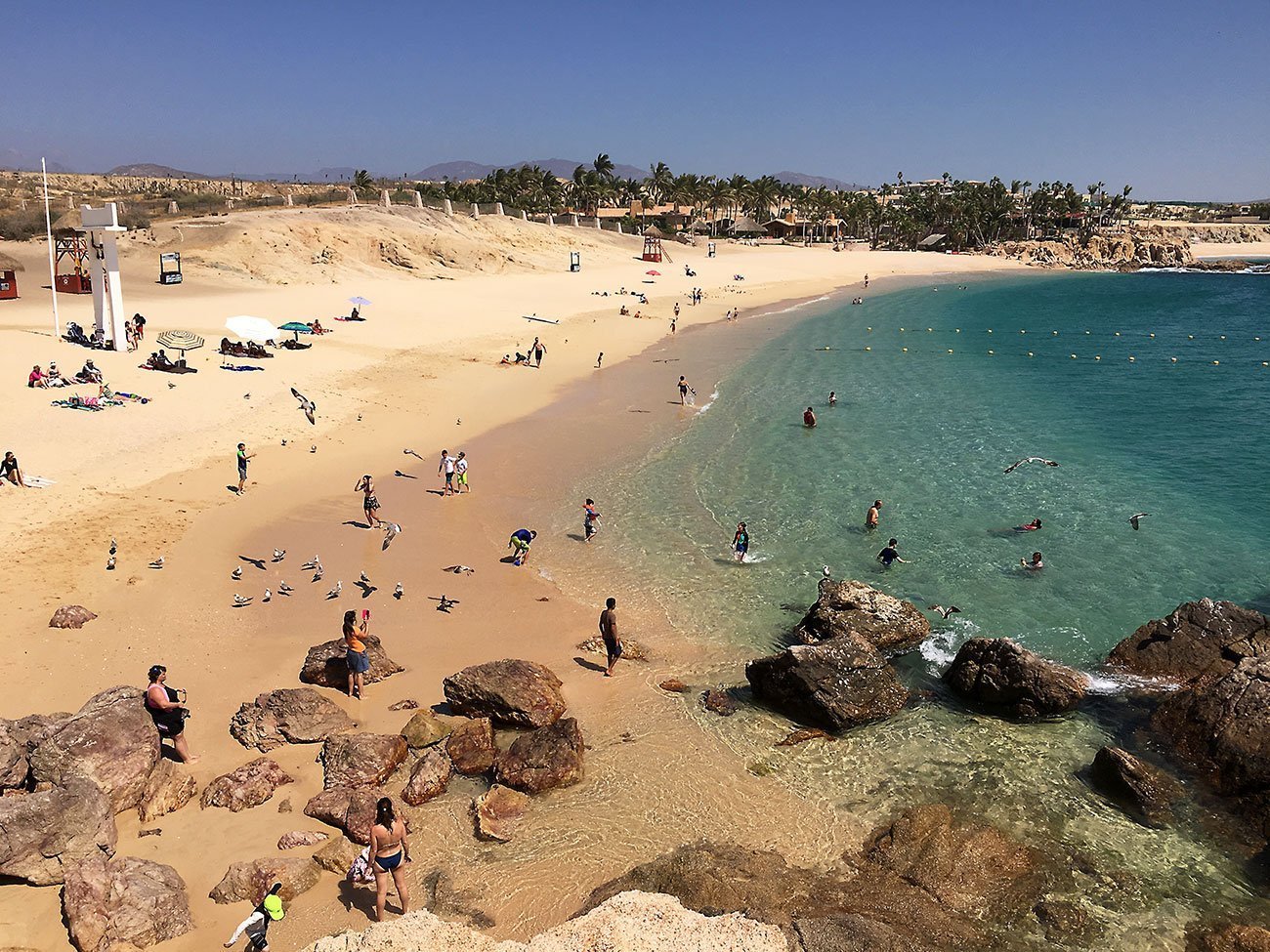 Blue Flag Beaches Los Cabos - Cabo San Lucas Beaches