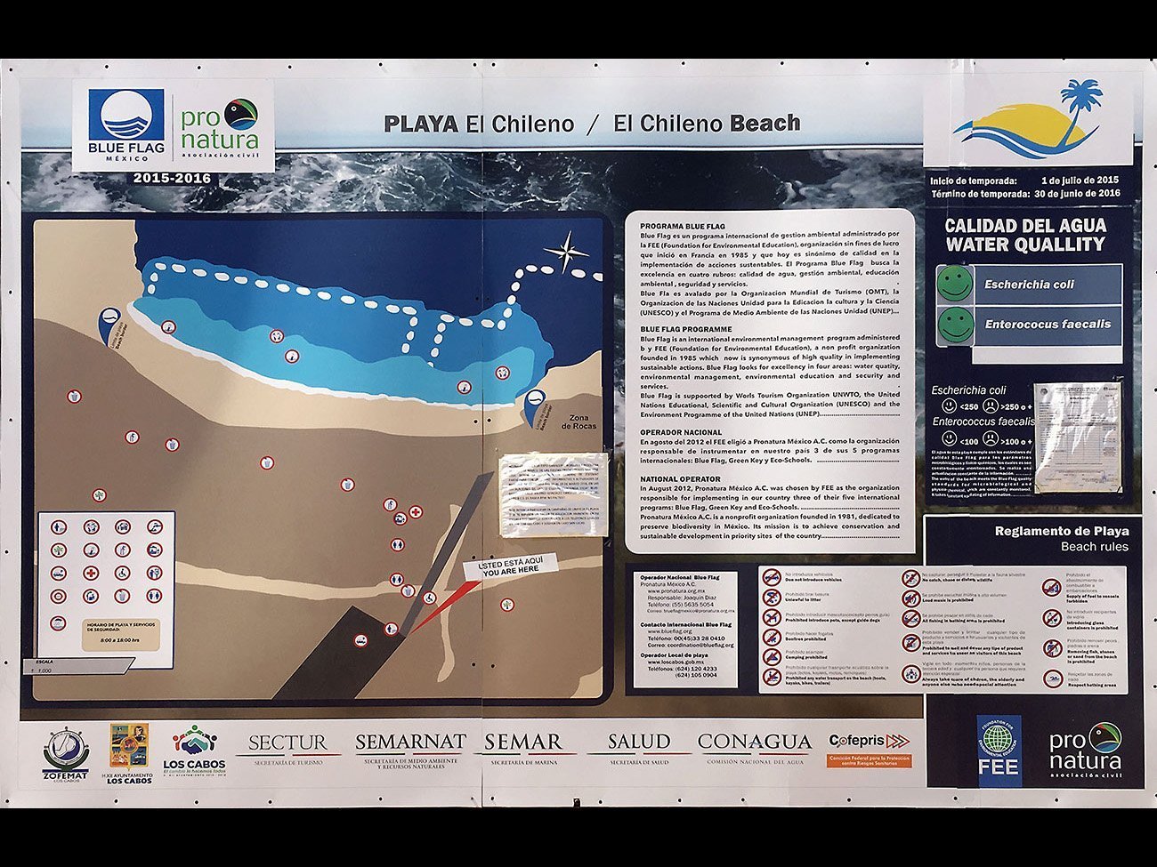 Cabo San Lucas Beaches - Find your Favorite Cabo San Lucas, Los Cabos Beach